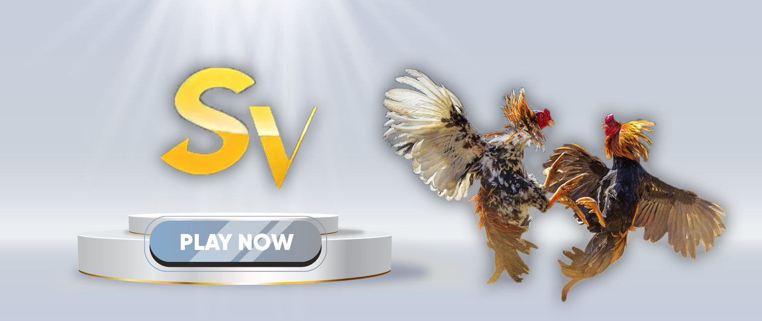 Exploring Cockfight, Mimi Gaming Slots, JiLi Fishing, and Sexy Baccarat